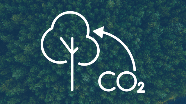 The Critical Role of Diverse Carbon Removal Solutions in Climate Action ...